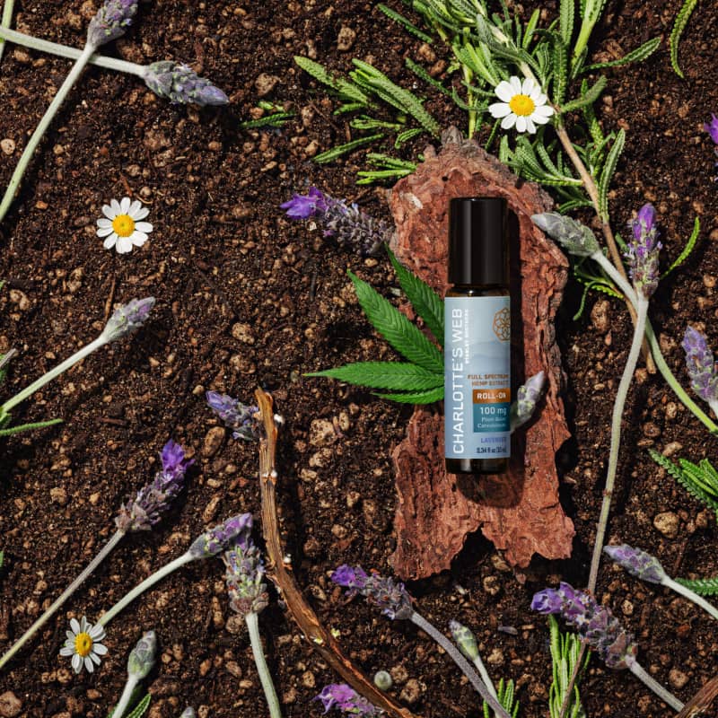 Charlotte's Web CBD Infused Lavender Roll-On – The Stash Shack
